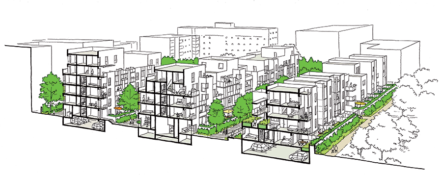 Coupe_dessin - Rue Royale Architectes